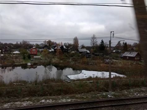Henrietta Collins Thru Violets Lentz