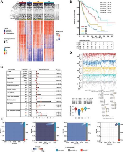 Whole Genome Dna Methylation Profiling Of Intrahepatic Cholangiocarcinoma Reveals Prognostic