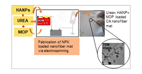 Preparation And Characterization Of A Plant Nutrient Loaded Cellulose Acetate Nanofiber Mat As A