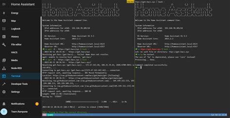 How Did I Get Two Terminals R Homeassistant