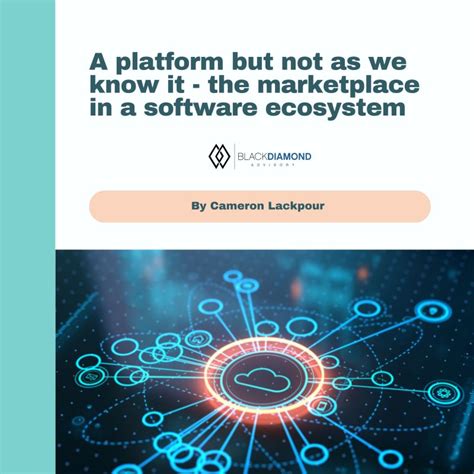 Software Ecosystems Are All The Rage And For Good Reasons Cameron Lackpour Of Black Diamond