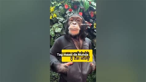 Daresh🤣🤣🤣🤣🤣 Youtube