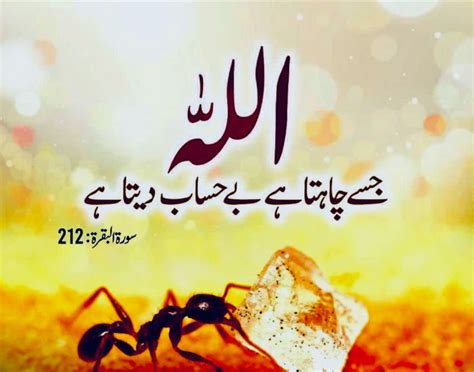 Talha Saeed Posted On Linkedin