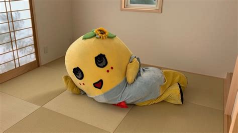 Funassyi Funabashi Citys Official Unofficial Mascot Yumetwins The