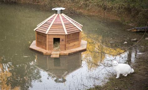 Floating Duck House