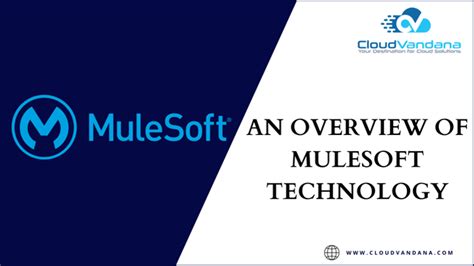 An Overview Of Mulesoft Technology