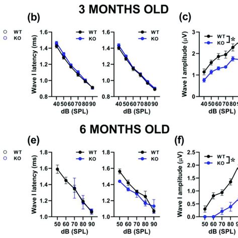 Behavioral And Electrophysiological Assessment Of Acoustic Response In
