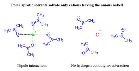 The Role Of Solvent In Sn1 Sn2 E1 And E2 Reactions Chemistry Steps