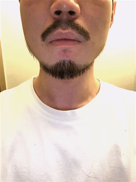 남자 수염 기르기 질문드립니다 지식in