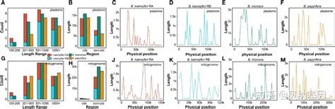 项目文章 Frontiers In Plant Science期刊发表构属线粒体基因组异质性和系统进化最新进展 知乎