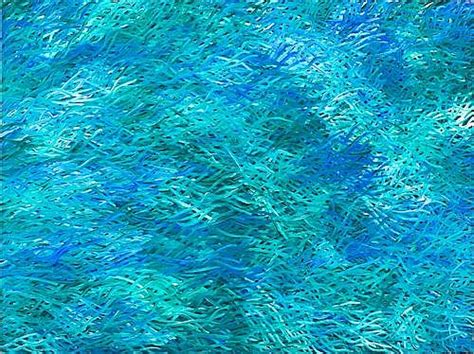 Lot Barbara Weir Born C1945 Grass Seed Dreaming 2008 Acrylic On Linen