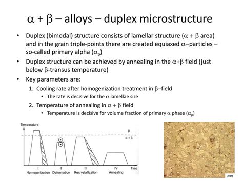 Ppt Titanium And Titanium Alloys Powerpoint Presentation Free Download Id1952774