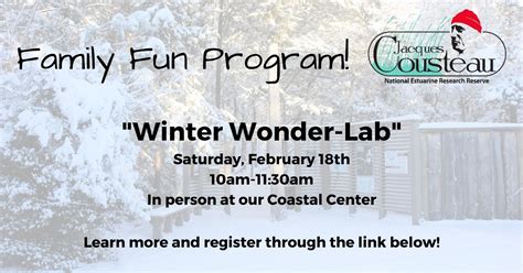 Winter Wonder Lab