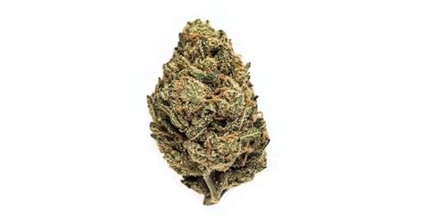 Alien Og Cannabis Strain Reviews Growdiaries