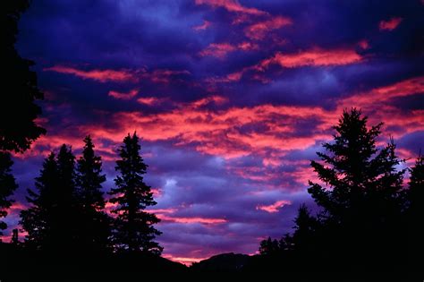 Pin De Kaito Hamato En Paisajes Paisajes De Noche Paisajes Bosque