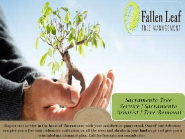 PPT Tree Planting PowerPoint Presentation Free To Download Id Cf ZDg Z