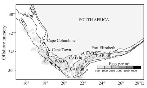 Composite Distribution Map Of Anchovy Eggs No M 2 Collected With A