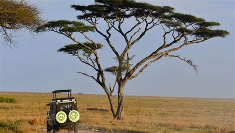 Hoteles En Serengeti National Park Mara Central De Reservas