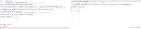 Web渗透测试 19、请求走私 （1）请求走私漏洞的挖掘transfer Encoding漏洞 Csdn博客