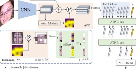 The Overall Architecture Of Our Apvit Model Firstly Feature Maps Are