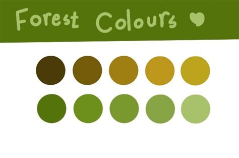 Forest Colors Procreate Palette Graphic By Fontiska Creative Fabrica