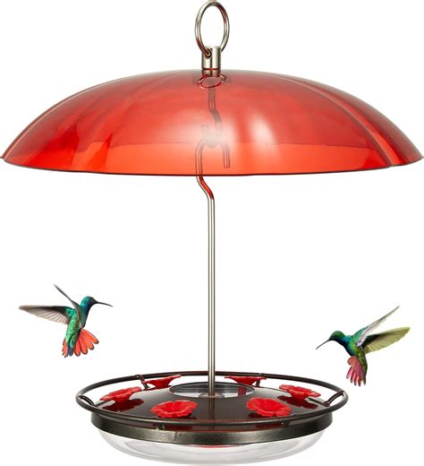 Kingsyard 12 Oz Hummingbird Feeder With Rain Guard Dome