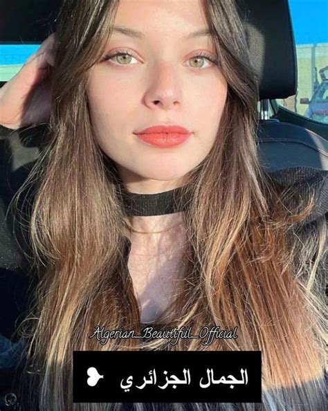 الجمال الجزائري