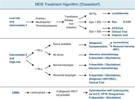 Risk Adapted Mds Treatment Algorithm Used At The Hematologyoncology
