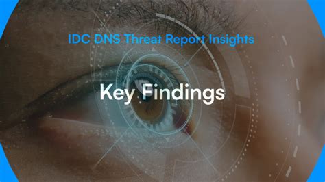 hybrid dns mitigate zero day exploits efficientip