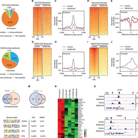 Svm Sequence Models Better Predict Binding Sites Than Traditional Motif Download Scientific