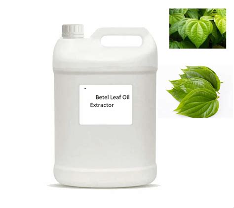 Betel Leaf Oil Extractor At Best Price In Pollachi By Vikarta Herbals Id 2853351926633