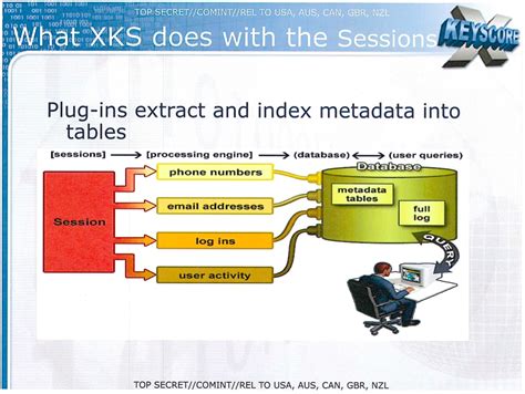 Nsas Internet Snooping Covers Nearly Everything Done Online Via