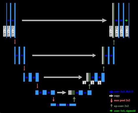 Model Architecture Of The Nseg Unet The Blue Boxes Represent Feature Download Scientific