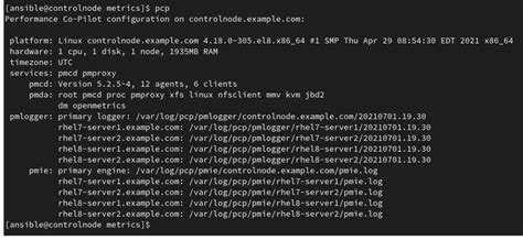 automate performance metrics collection and visualization with rhel
