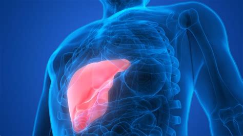 Hepatic Steatosis Linked To Lower Mortality Risk In Patients With