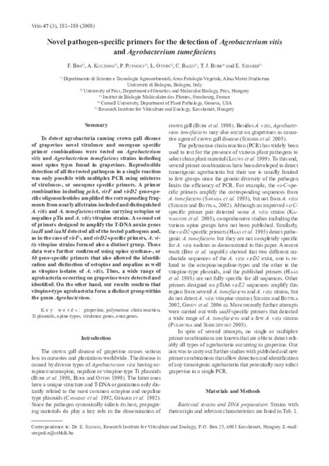 Pdf Novel Pathogen Specific Primers For The Detection Of Agrobacterium Vitis And Agrobacterium