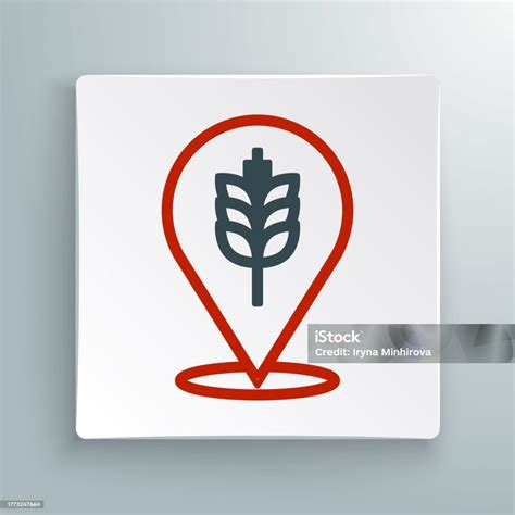 쌀 밀 옥수수 귀리 호밀 보리 아이콘이 흰색 배경에 고립 되어 있는 라인 시리얼 밀 빵 기호의 귀 다채로운 개요 개념 벡터 가을에 대한 스톡 벡터 아트 및 기타 이미지