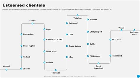 Esteemed Clientele Sap Company Profile Ppt Formats Cp Ss Ppt Slide