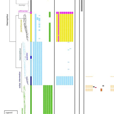 Presence And Absence Of Marker Genes In The Training Dataset The