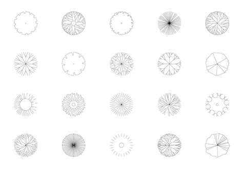 Tree Plan Plant Landscape Architecture Nature Park Garden Collection Vector Set Tree Outline