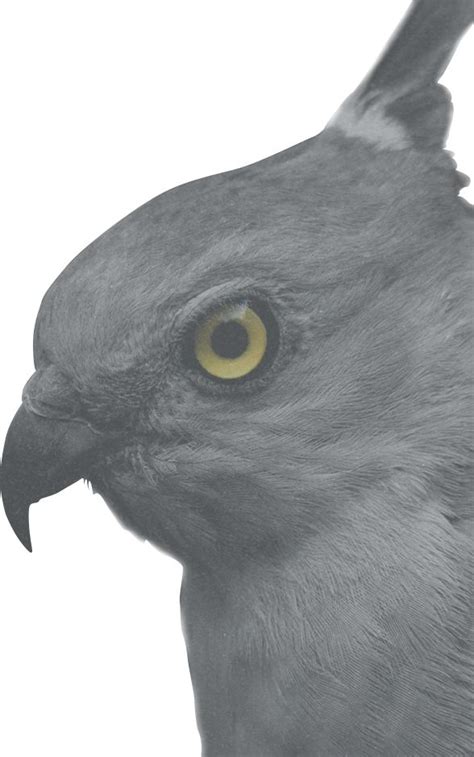 Best Software Testing Company And Qa Services Provider In India Software Testing Testing