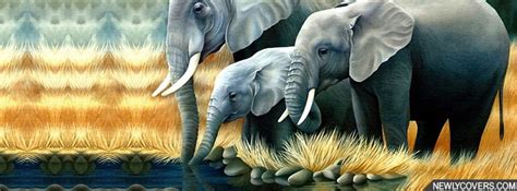 Psar Knong Srok Facebook