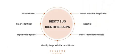Best Bug Identifier Apps To Identify Insects Tagline Infotech
