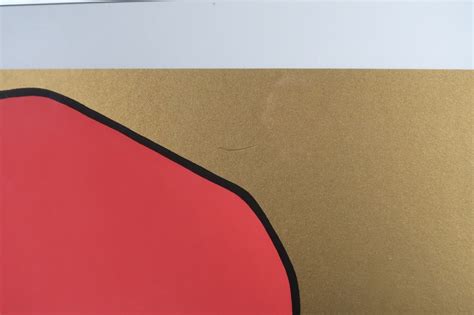 Wouter Van Riessen Wouter Van Riessen Zeefdruk Pinocchio Madonna