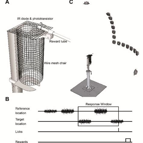 Comparative Sound Localization Acuity A Sound Localization Thresholds