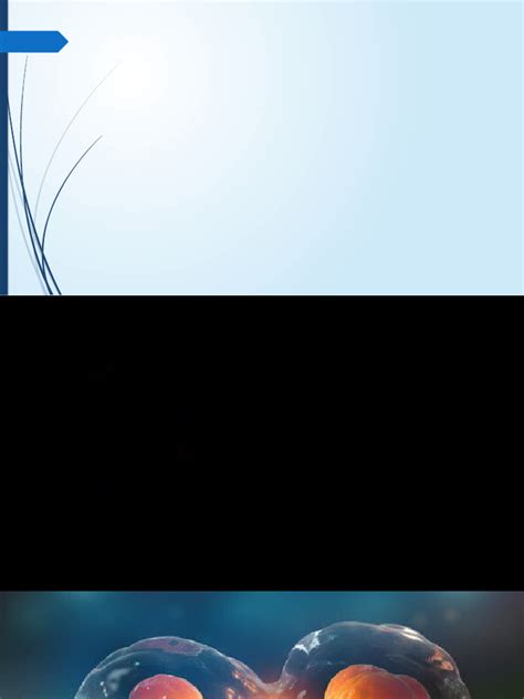 Gen Bio Lesson 06 Pdf