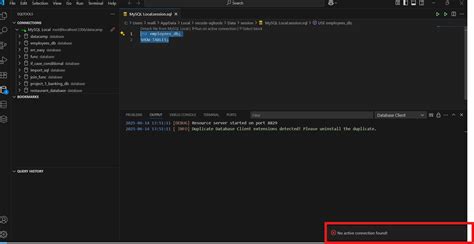 Vs Code Sqltools No Active Connection Found Error Even After