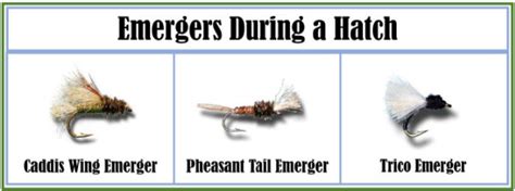 How To Choose The Right Nymph And Catch More Trout Guide Recommended