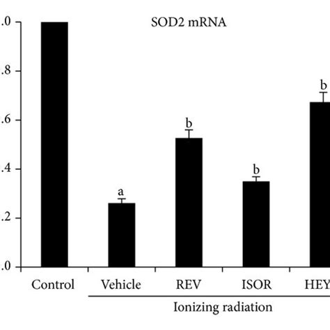 REV A ISOR B And HEY A C Reduce IR Induced Suppression Of The Download Scientific